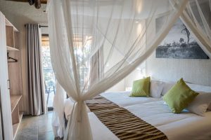 Tour Packages – Baobab Buses